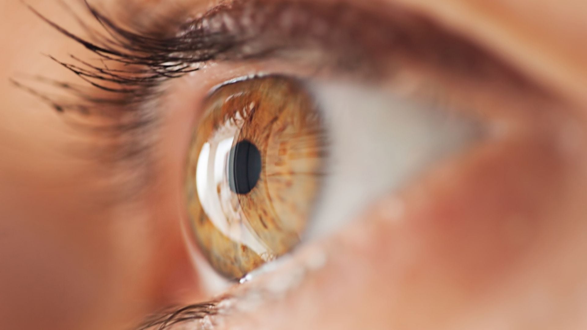 Patients with Vision Loss See Color Again After Landmark CRISPR Experiment