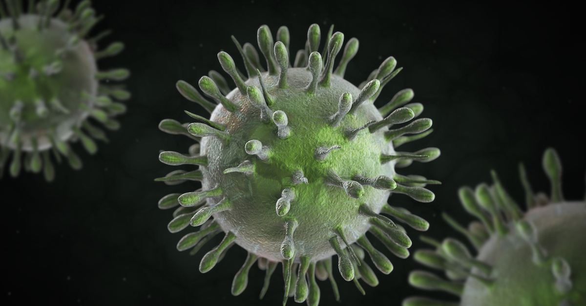 African Swine Fever-Infected Meat Was Discovered in the UK For First Time