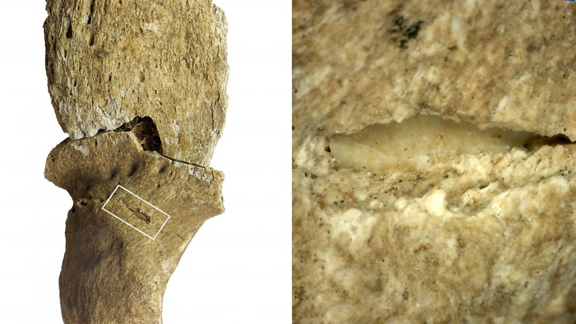 Oldest Known War May Have Been Fueled by Climate Change, Scientists Say