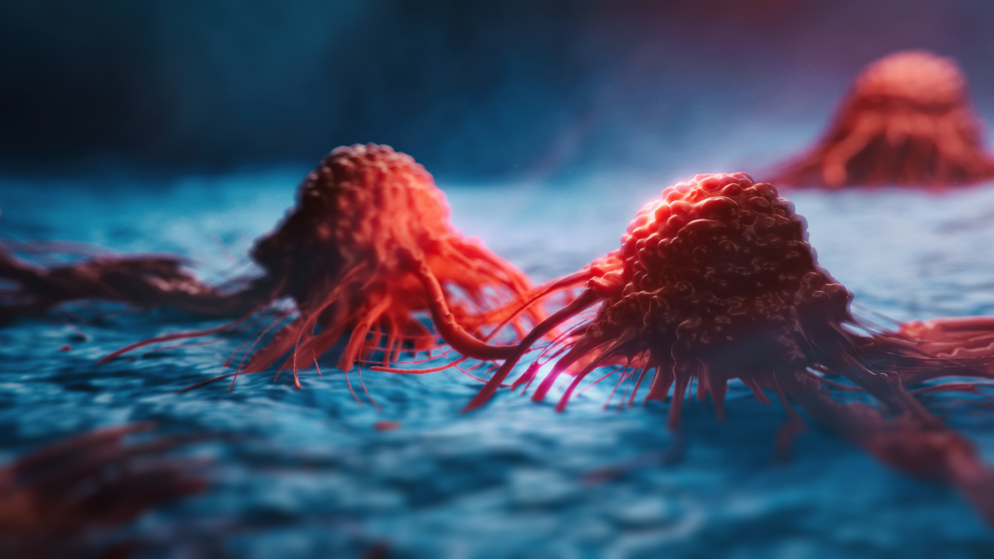 A patient is injected with a cancer-killing virus treatment for the ...