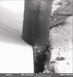 Scientists Figured Out Why Razors Go Blunt