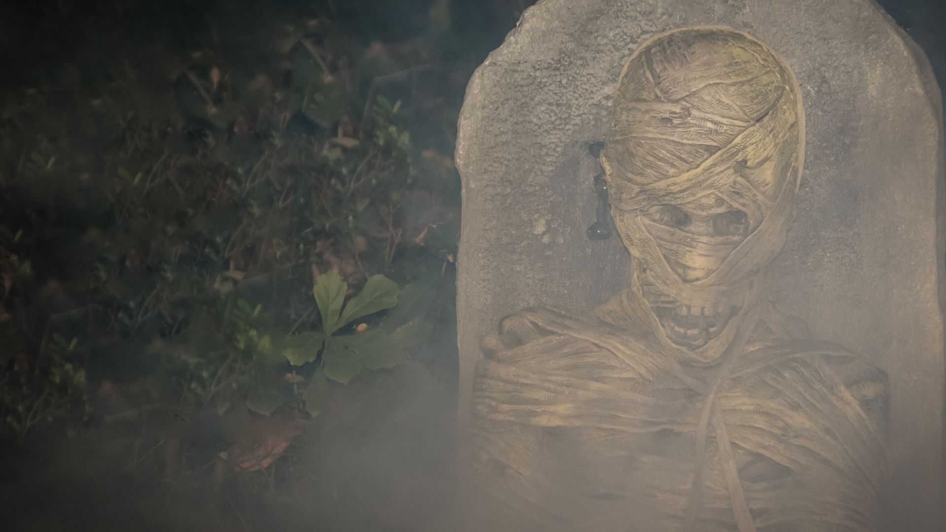 3,500 Year-Old Mummification Manual Unveils New Details