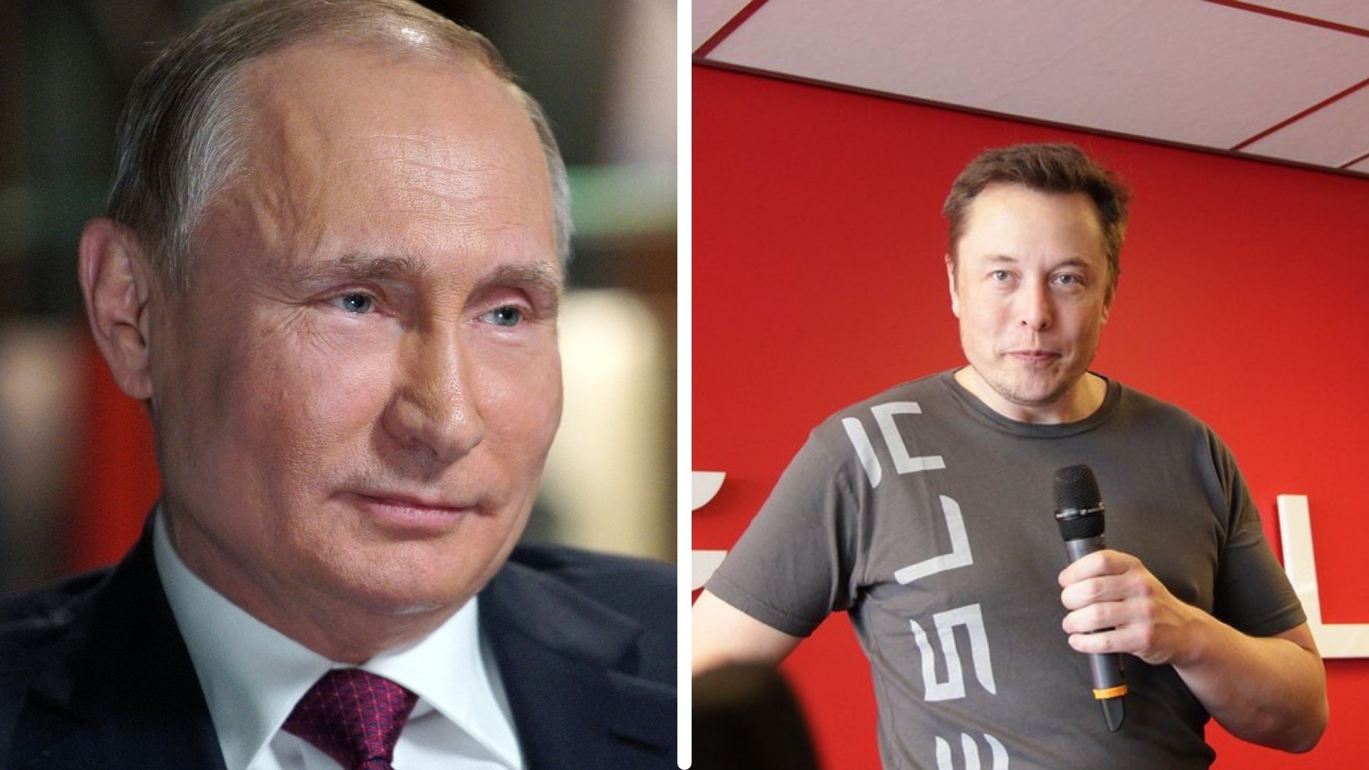 Elon Musk is challenging President Vladimir Putin to a fight over Ukraine