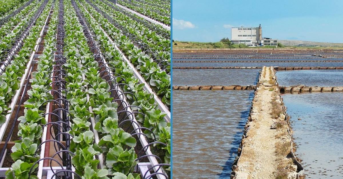 8 Innovative Drought Solutions That We Can Count On