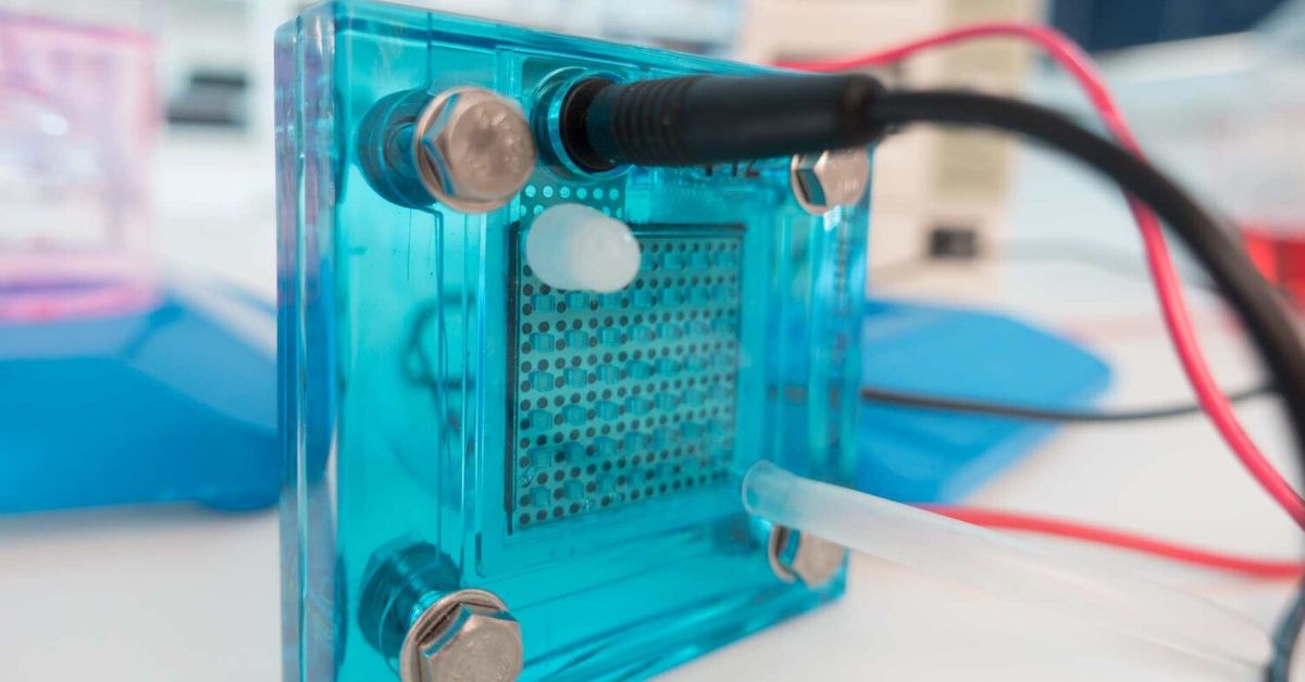 Engineers Develop New Fuel Cells that Provide Double the Voltage as ...