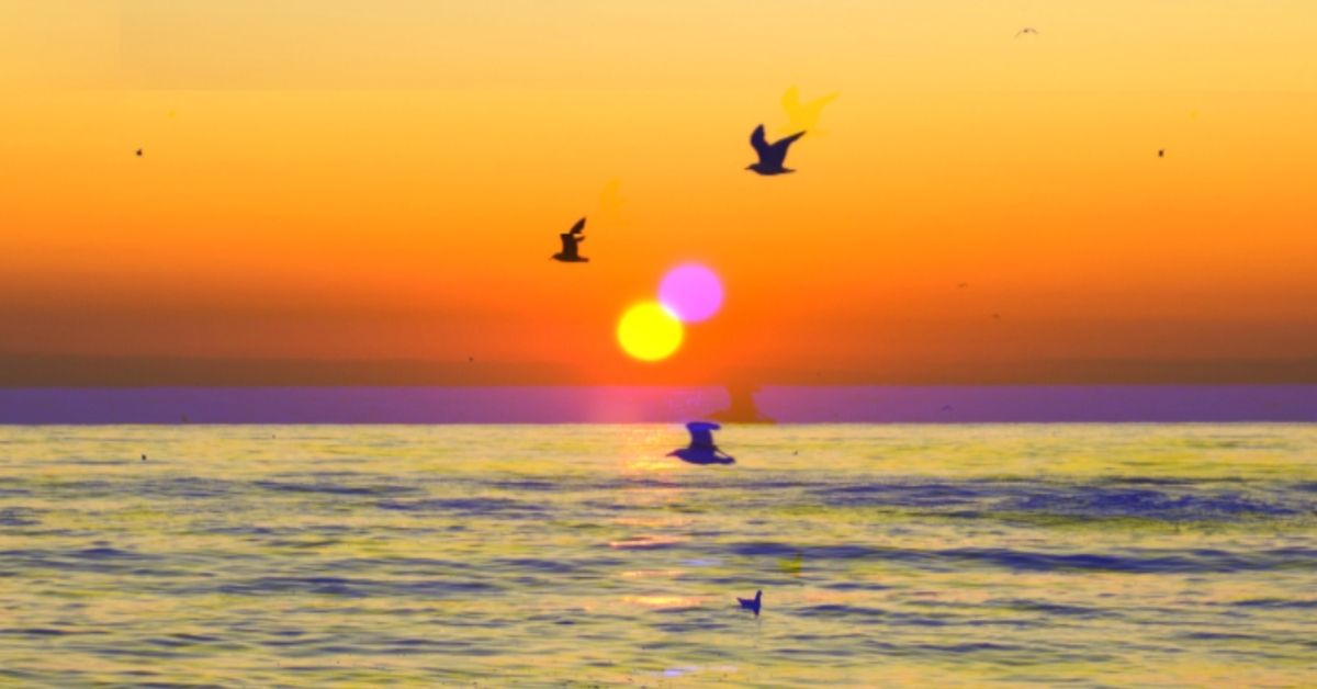 South African Researchers Want to Dim Down the Sun's Light, Says Study