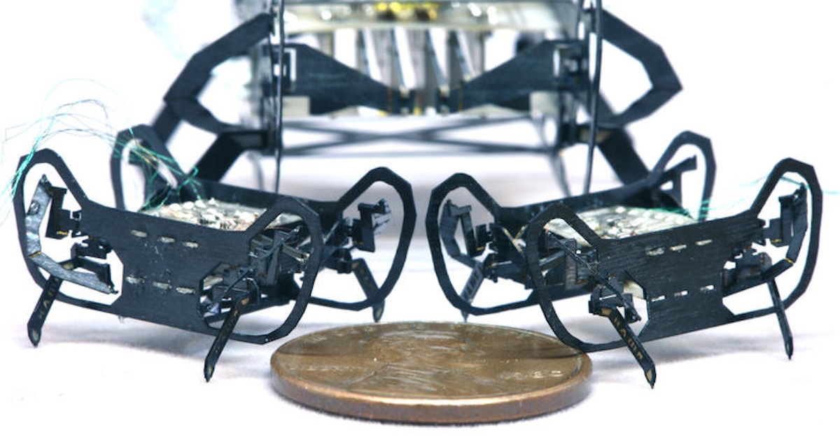 Cockroach-Inspired Mini Robots Are Small but Mighty