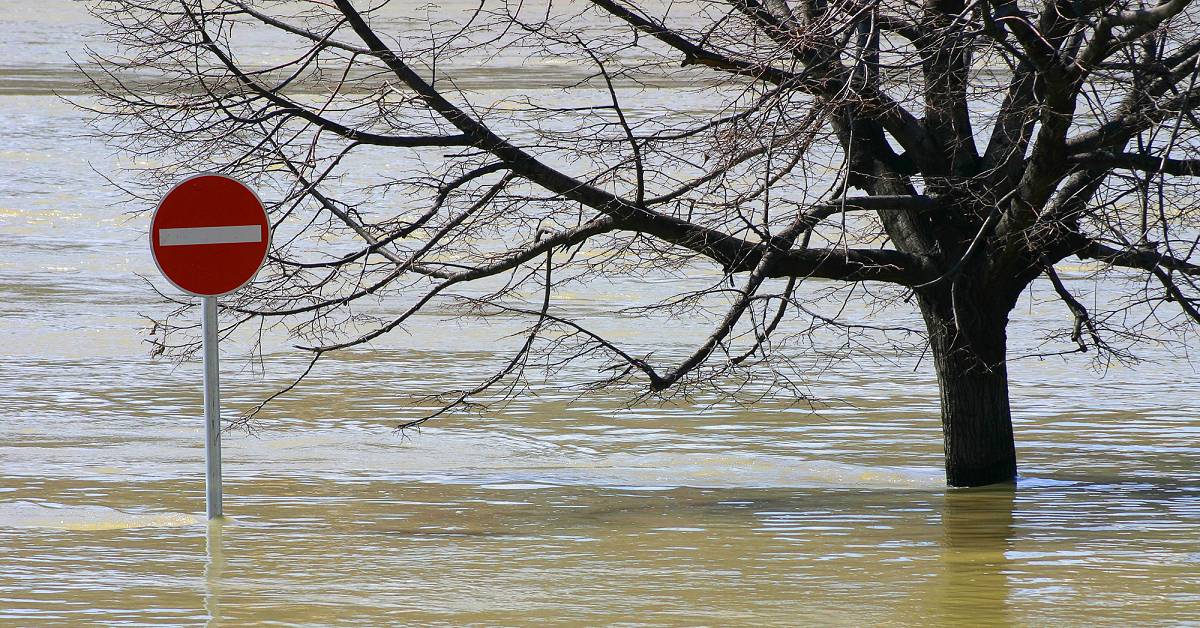 Study Warns Global Sea Levels Rise to Displace Up to 187 Million People