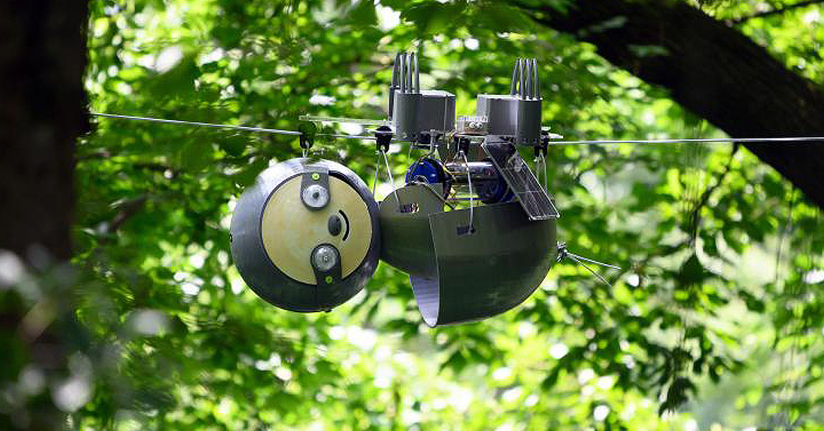 Robot Sloth Could Very Slowly Help Save World’s Endangered Ecosystems