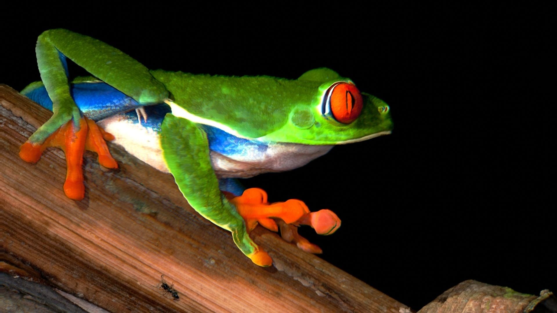 Looking for New Life Forms? Follow This Map