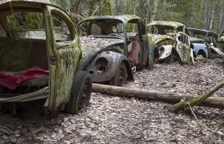 Photographer Documents Sweden's Abandoned Car Cemetery