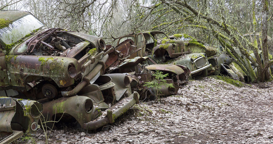 Photographer Documents Sweden's Abandoned Car Cemetery