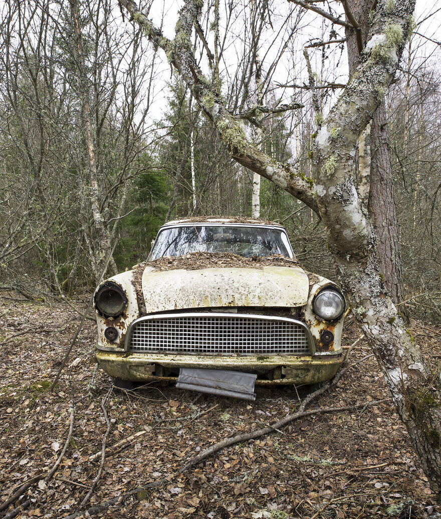 Photographer Documents Sweden's Abandoned Car Cemetery