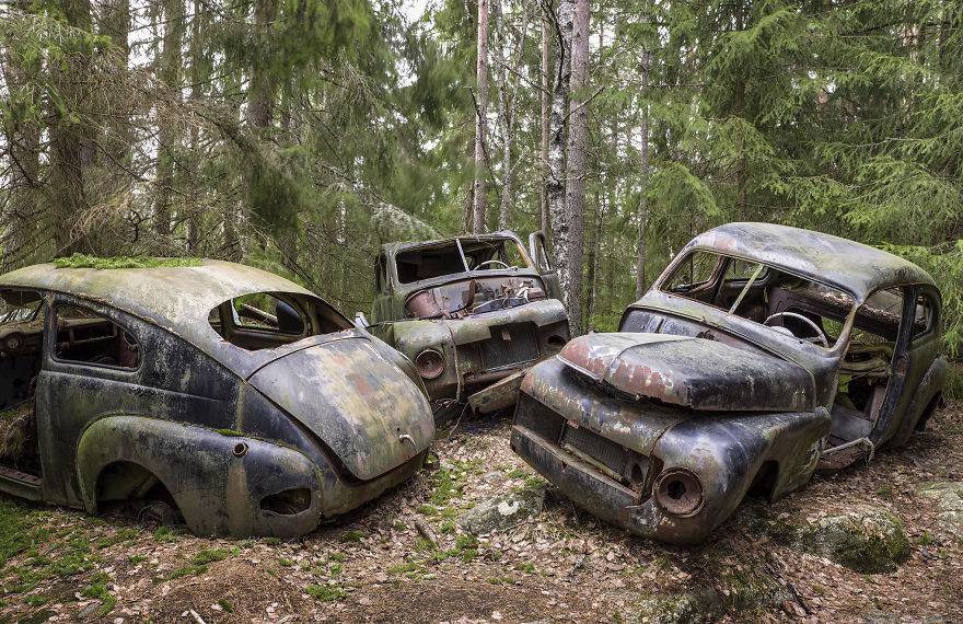 Photographer Documents Sweden's Abandoned Car Cemetery