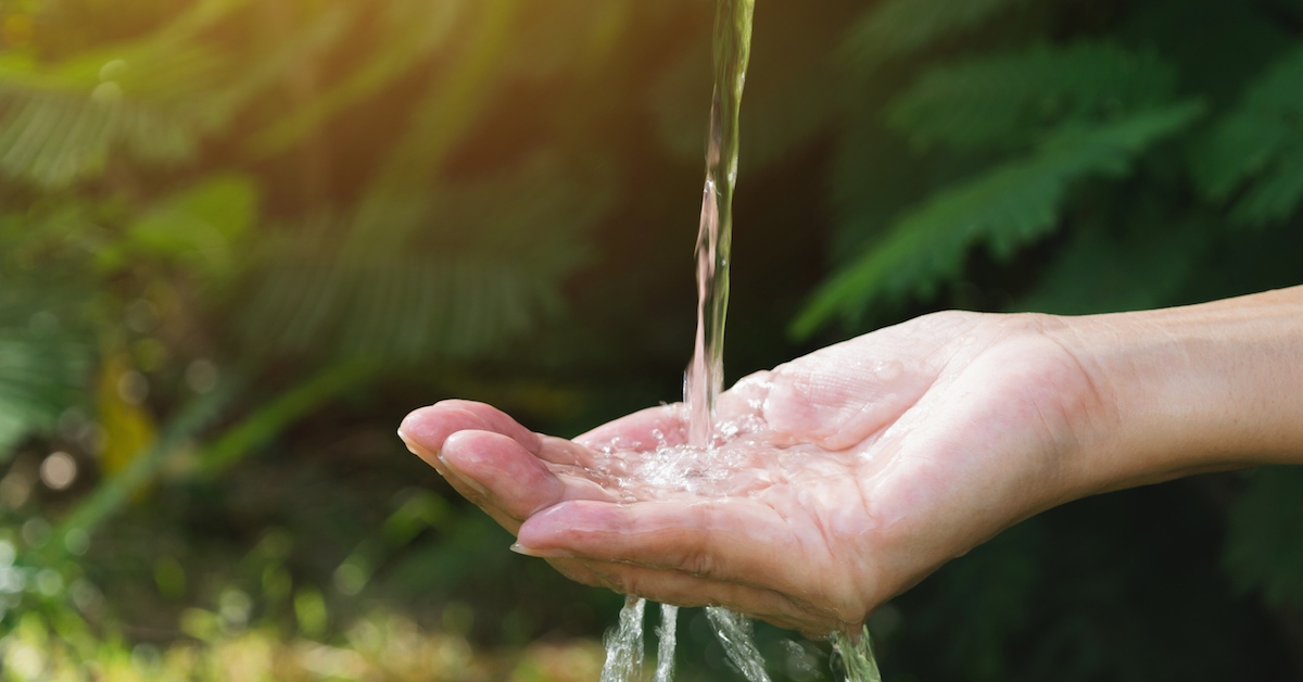 Urgent Action Needed to Maintain Good Water Quality