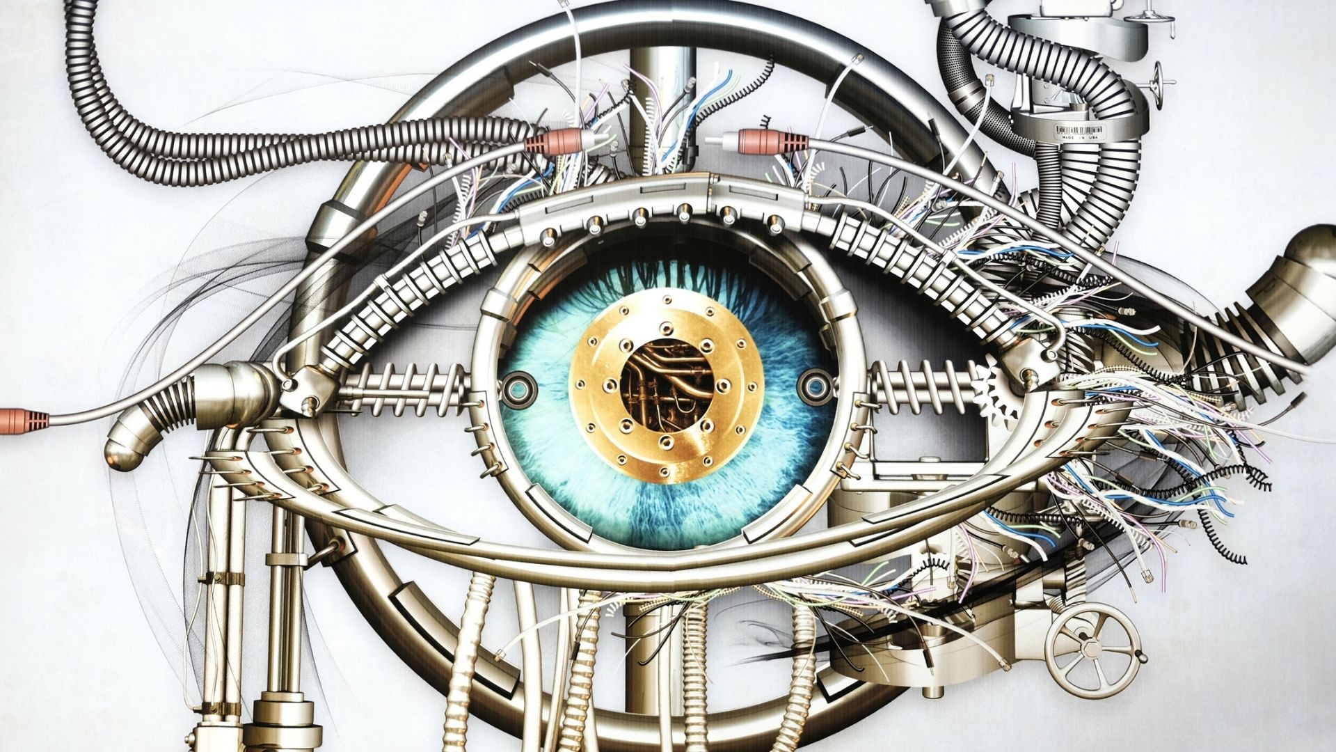 Bionic Cornea Are a New Horizon in Curing Blindness