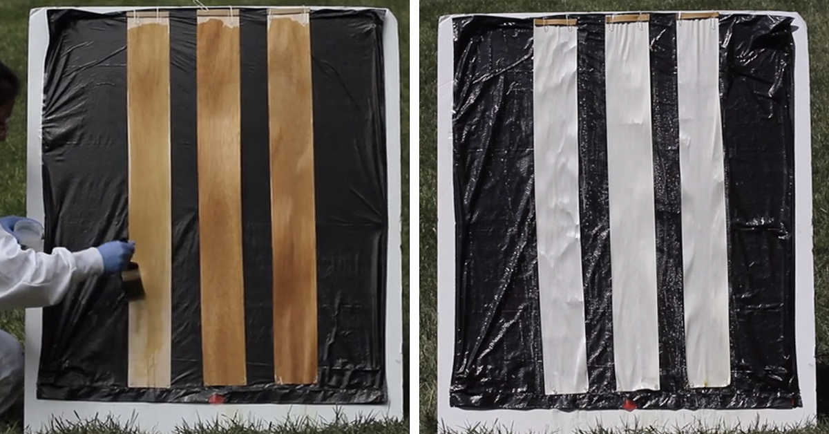 Scientists Made Transparent Wood That's Stronger and Lighter Than Glass