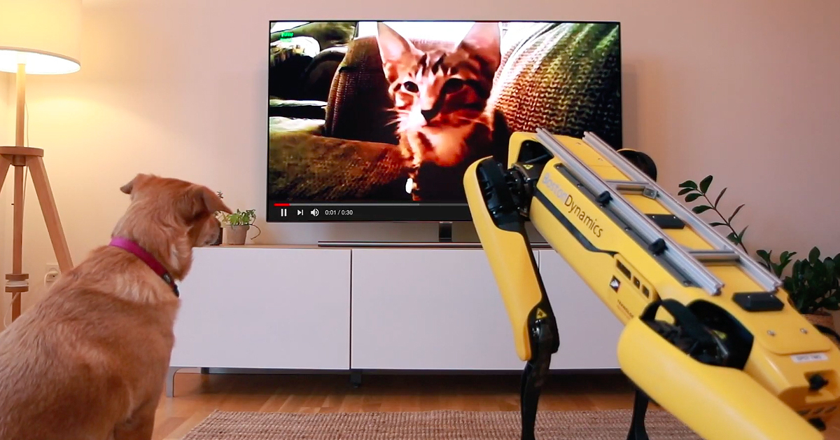 Spot the Robot Melts Christmas Blues of Lonely Dog