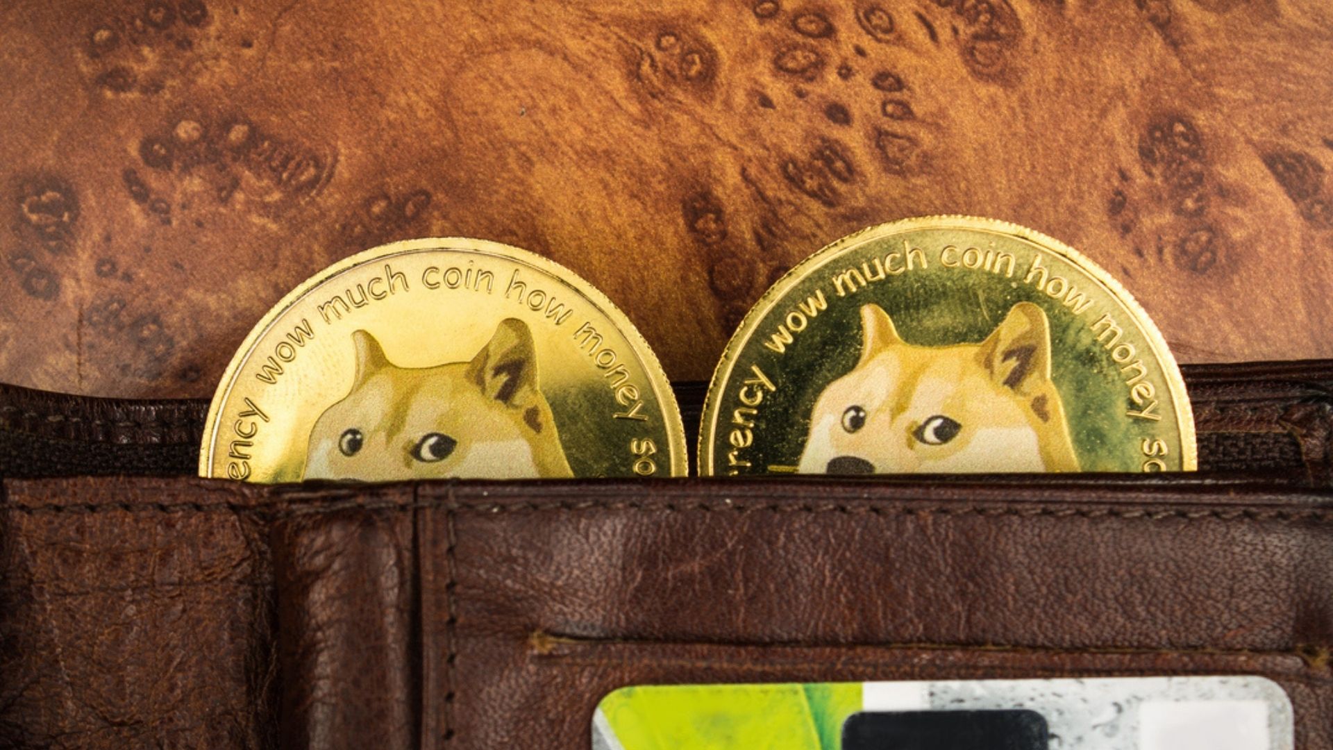 Crypto Scammer Goes Missing After Cheating 1,500 Out Of $119M Dogecoin