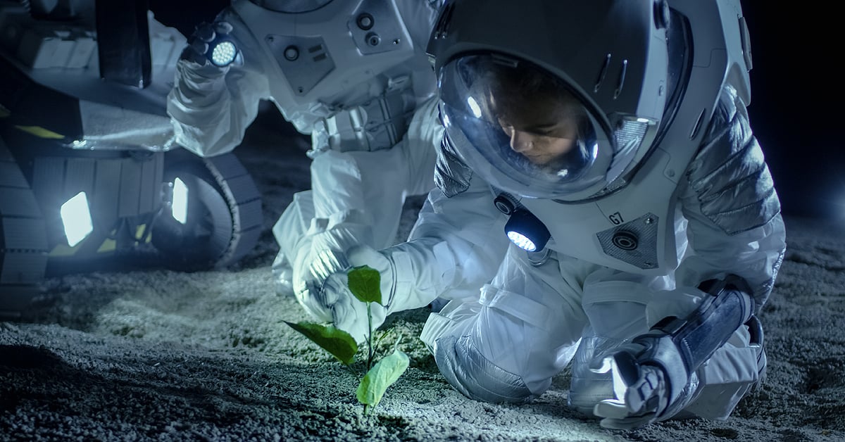 New NASA Challenge Seeks Novel Food System Technologies