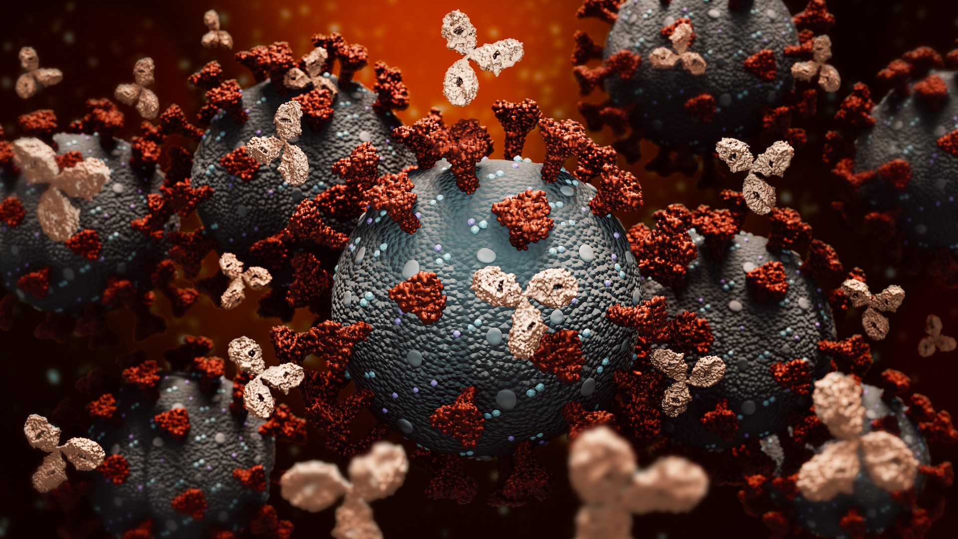 Long COVID: 30 percent of people contracting the virus get it