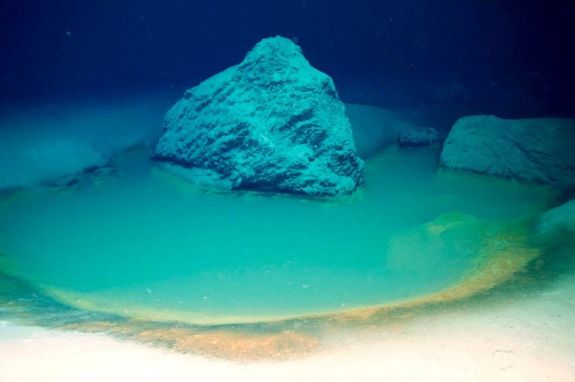 Newly discovered deadly pools beneath the ocean kill anything that ...