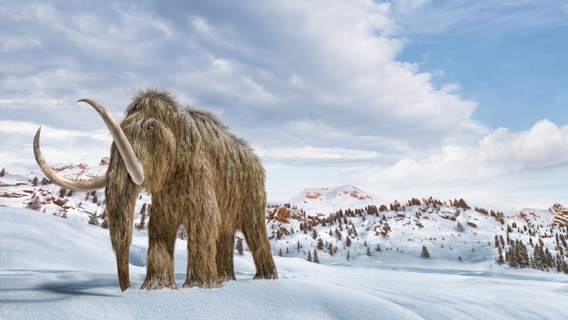 Can De Extinction Bring Back The Woolly Mammoth