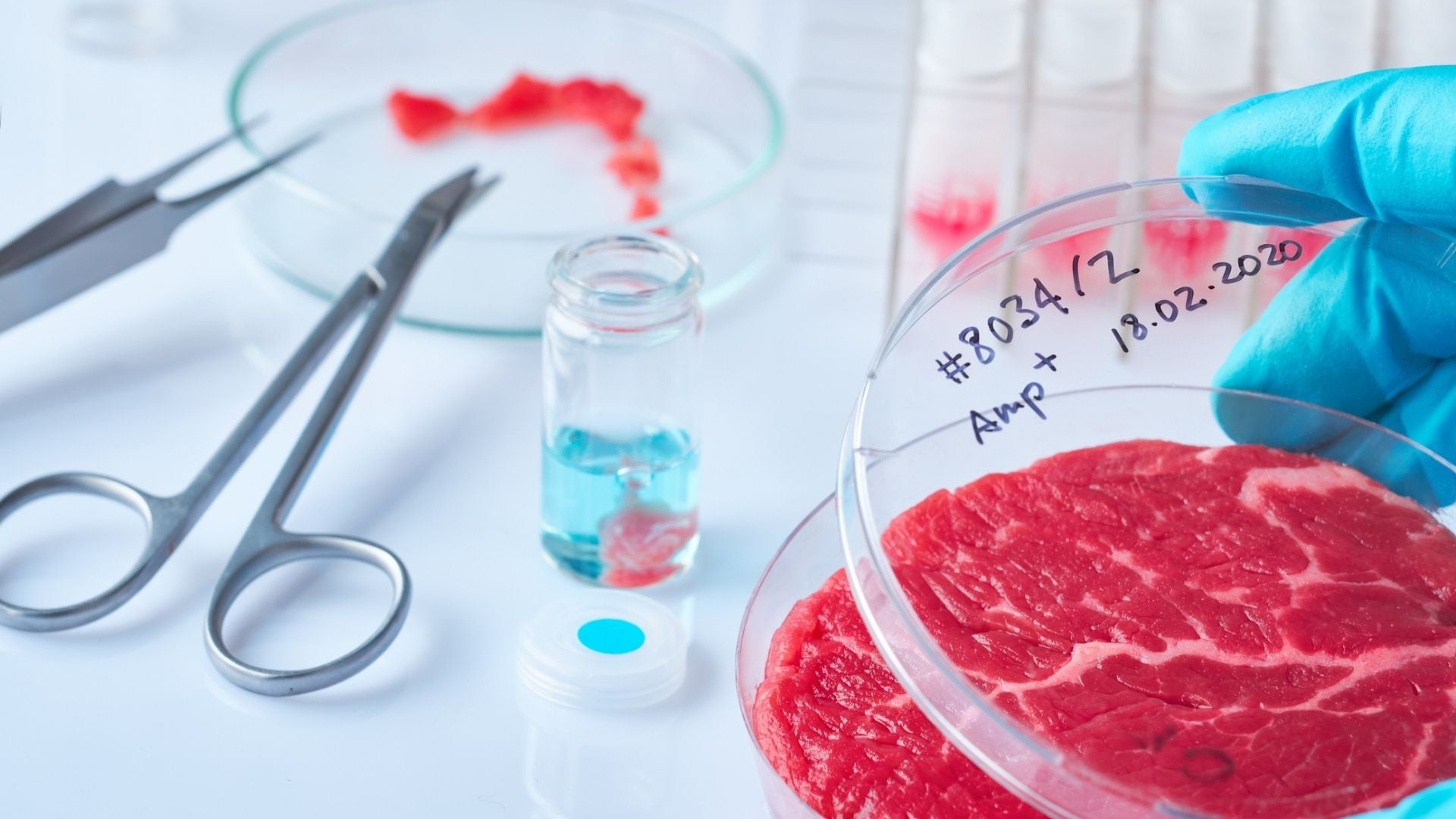 Nestlé Partners With Leading Lab-Grown Meat Startup