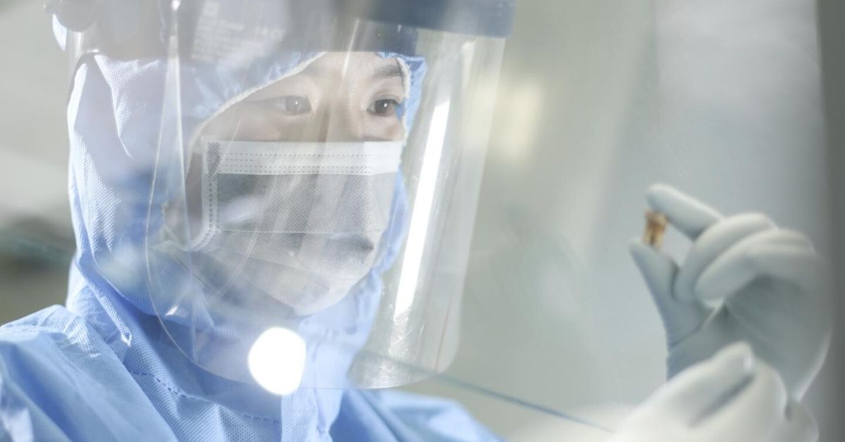 Ancient DNA Reveals Crucial Missing Piece of East Asian History