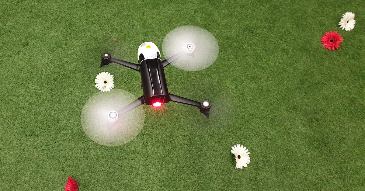 Bio-Inspired Drones Read Textures to Improve AI Vision