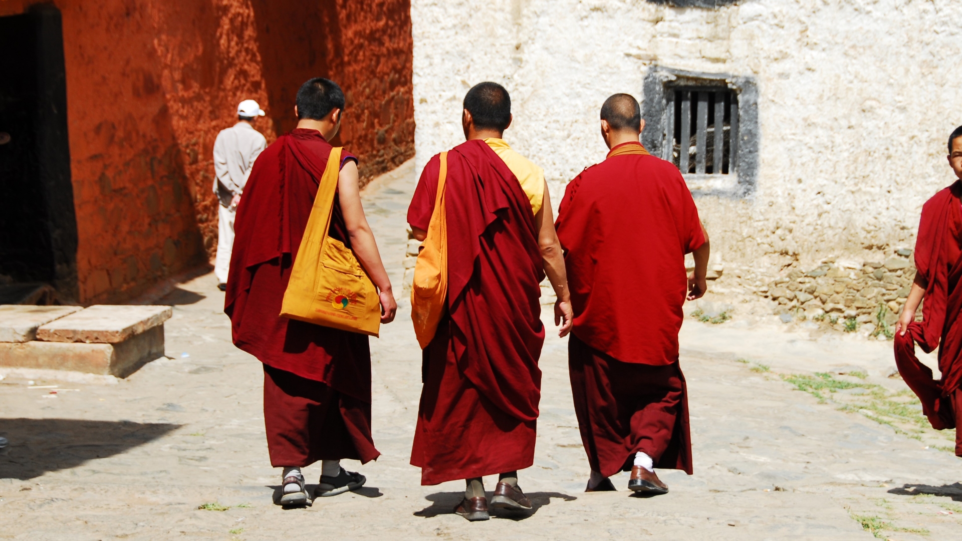 Tibetan monks demonstrate a surprising evolutionary advantage