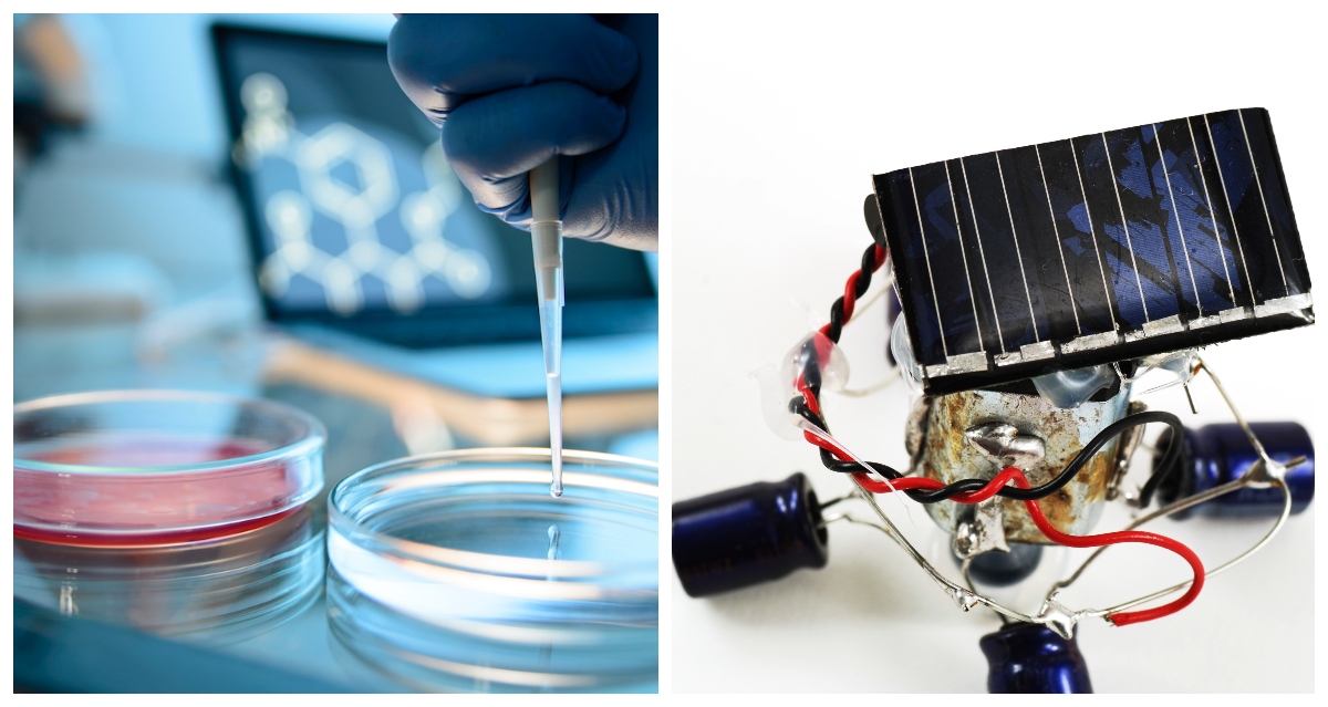 7 Fun and Engaging Science Project Ideas for Your Students