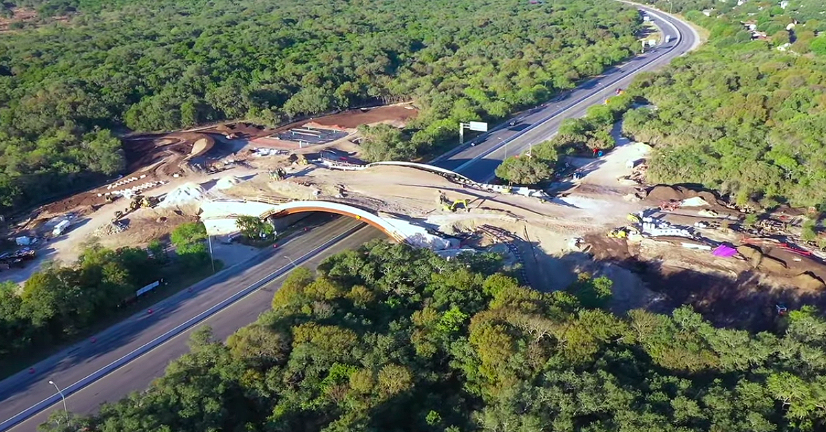 America's $23 Million Largest Wildlife Crossing Opens in Texas