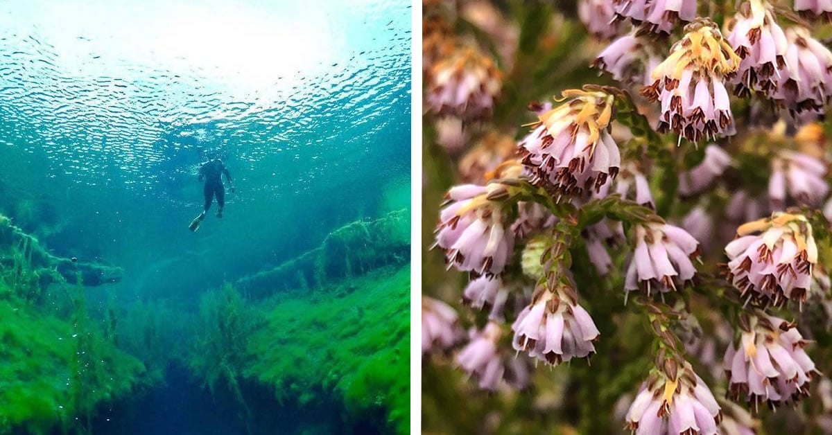 7 Ecosystems of the World That Are Facing Imminent Destruction