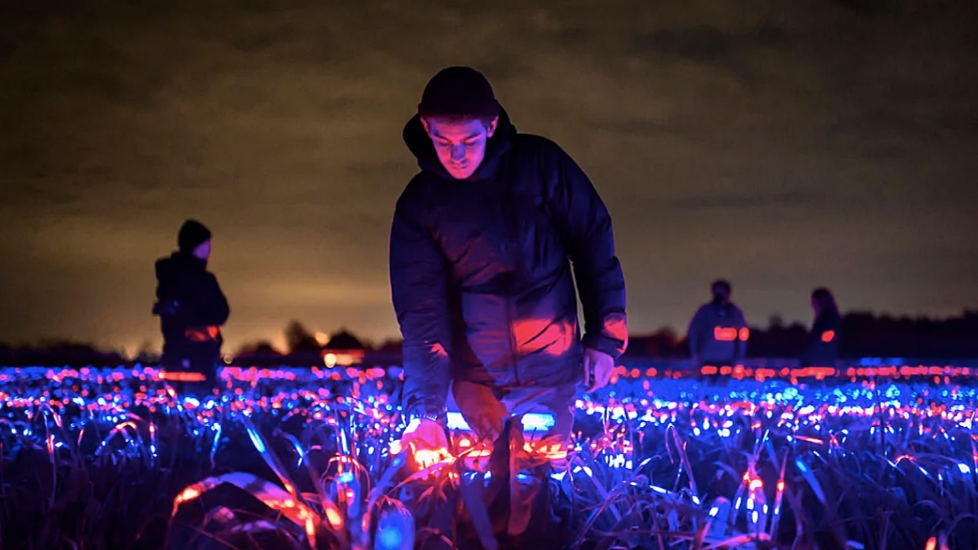 'Dancing' Ultraviolet Light Show Helps Plants Grow Faster