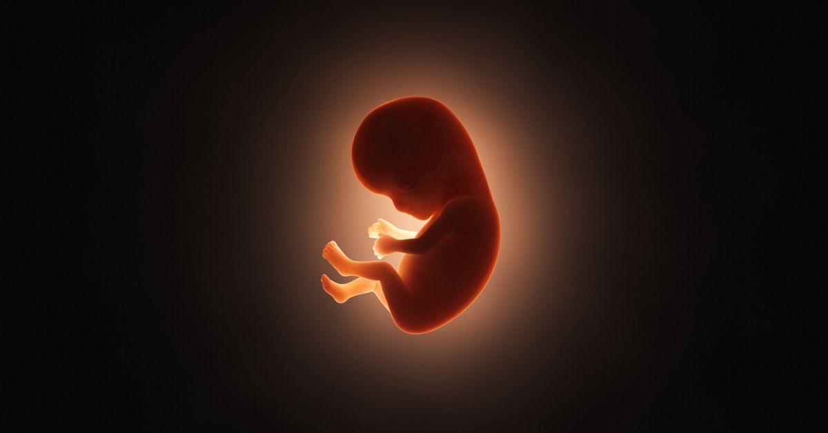 Now You Can Create Your Own Genetically Modified but Smart and Healthy Baby