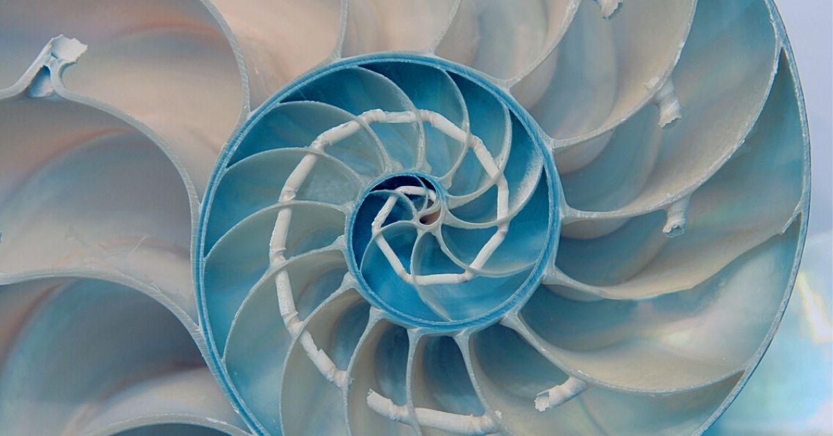 Nature Really Has a Favorite Number, the Digit '1'