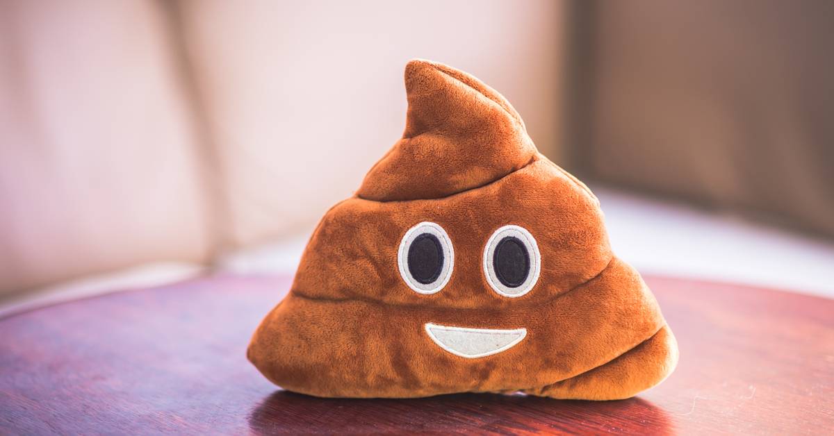 These Scientists Want Photos of Your Poop to Train AI