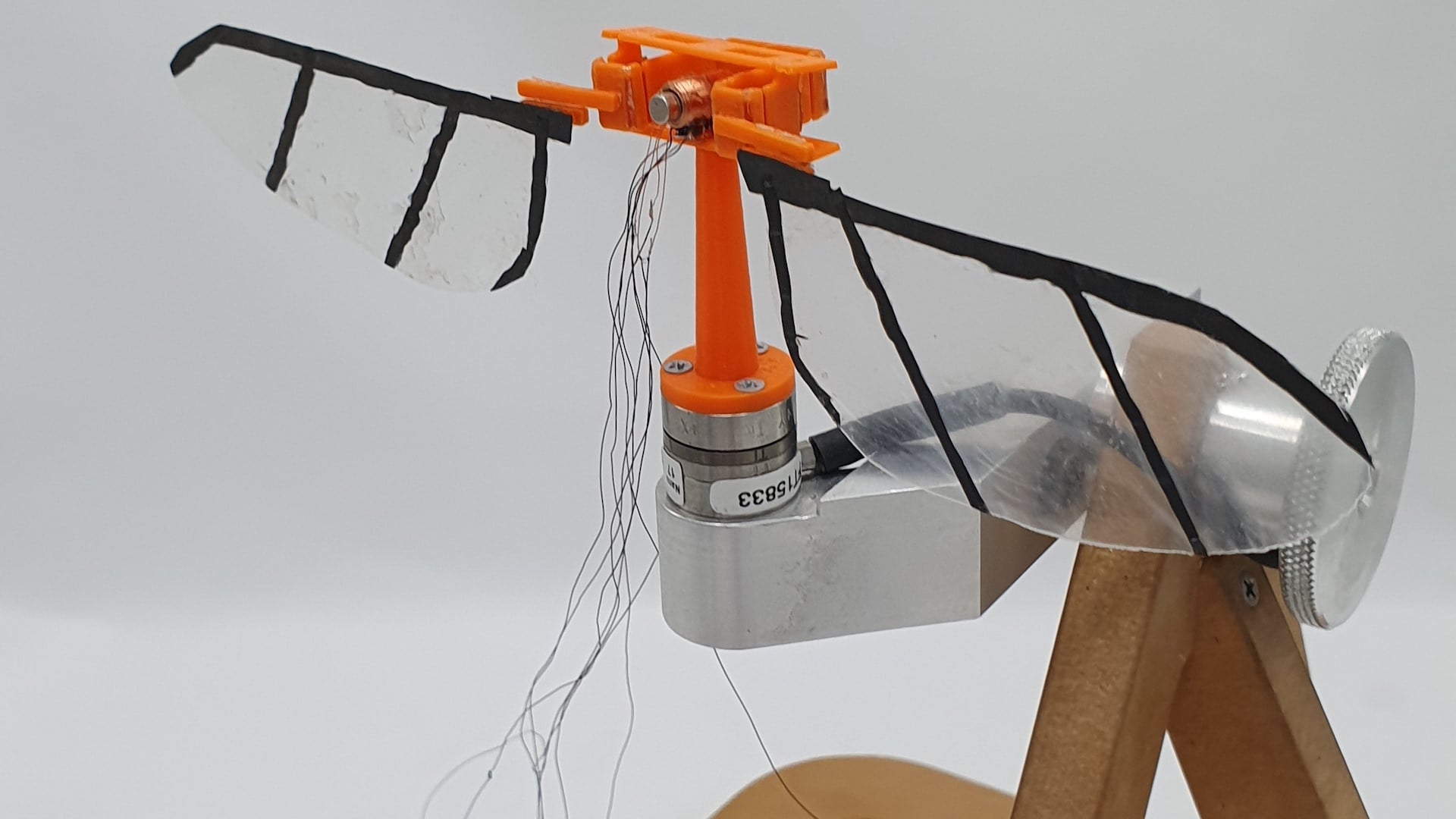 Winged Drone Prototype Takes Inspiration From Dragonflies