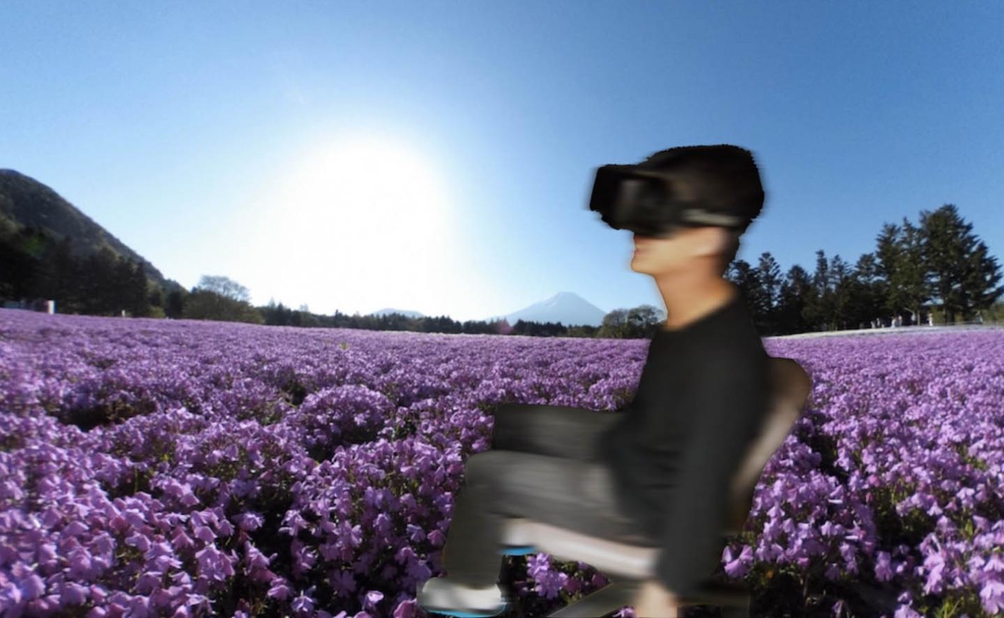 Walking In a Field of Flowers Could be Possible With This VR System