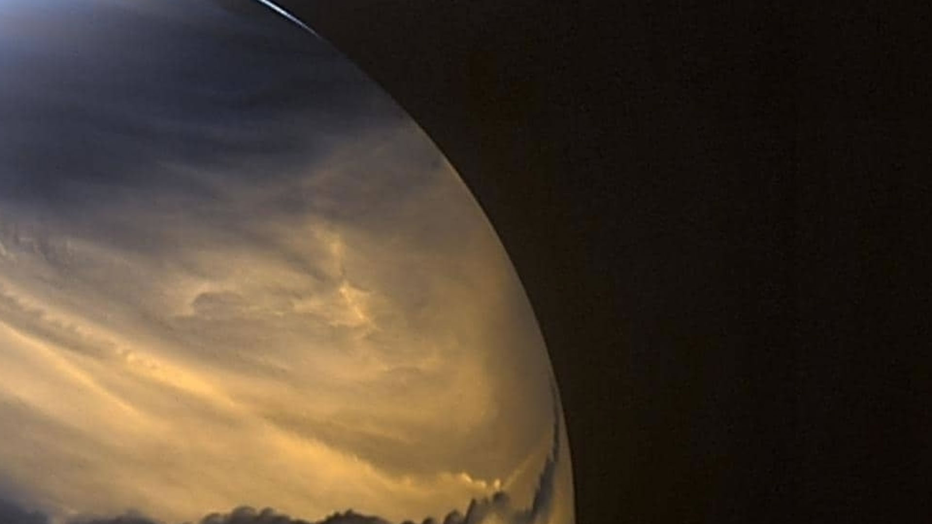 What would it take for possible lifeforms to survive on Venus?