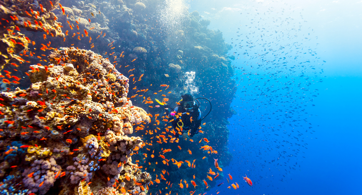 11 Deeply Interesting Facts About Our Oceans