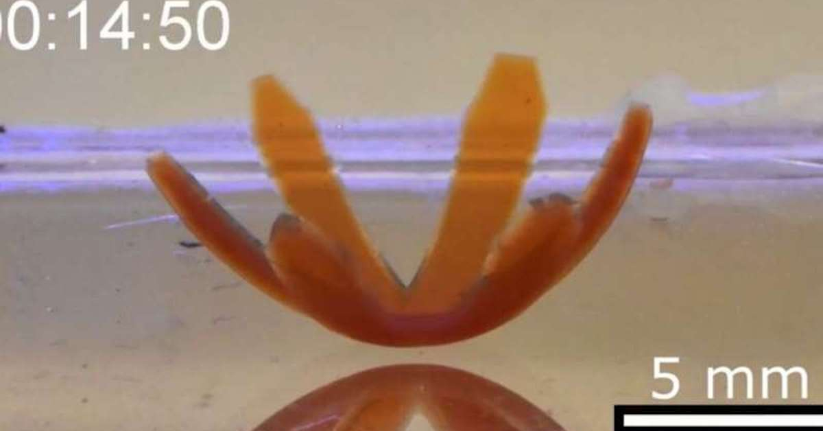 Lifelike Robotic Soft Material Reacts to Light by Shifting and Moving