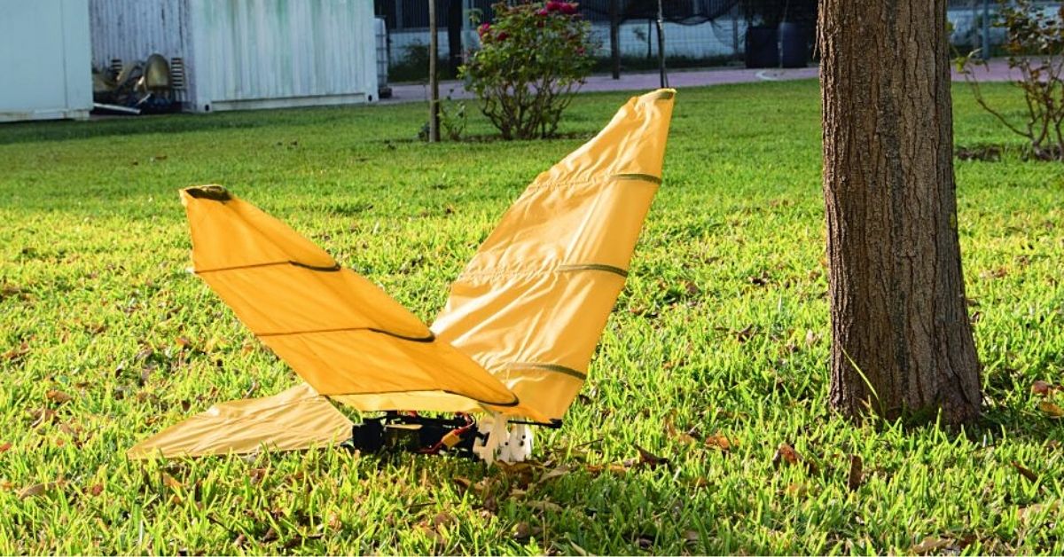 Bird-Inspired Robots Fly Autonomously to Remote Spots