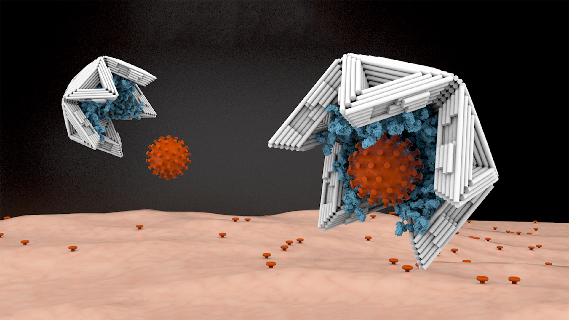 New Virus Trap Technology Neutralizes Viruses With 'DNA Origami'