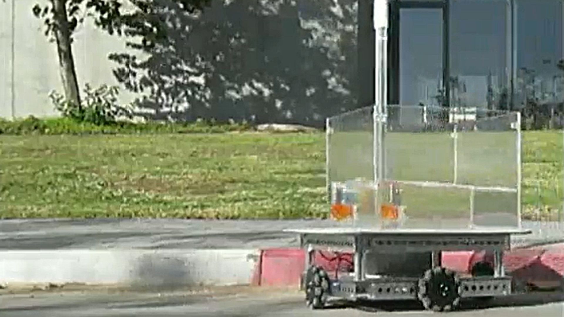 Scientists Got a Goldfish to Drive on Land for Rewards, Again