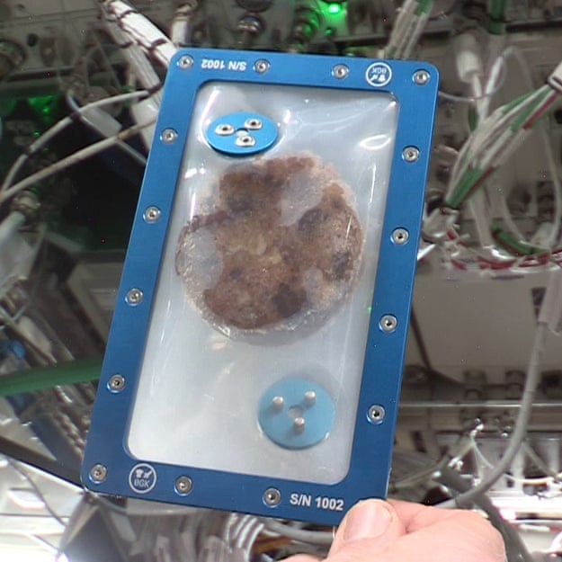 Astronauts Baked Cookies in Space and Were Surprised at How Long It Took