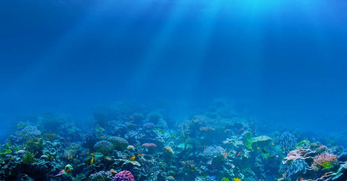 Marine Bacteria Known as Rhodopsins More Abundant in Ocean than ...