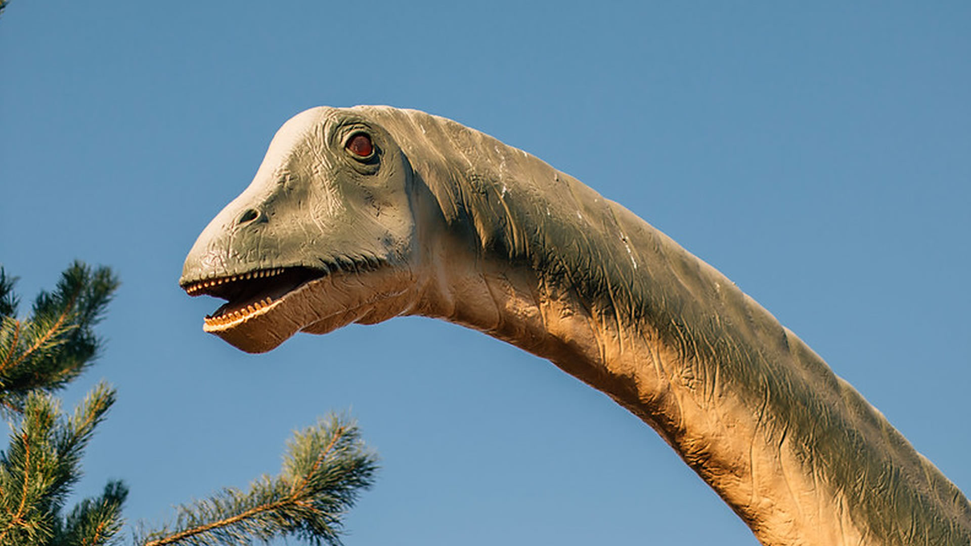 Scientists discover the first dinosaur with a respiratory infection