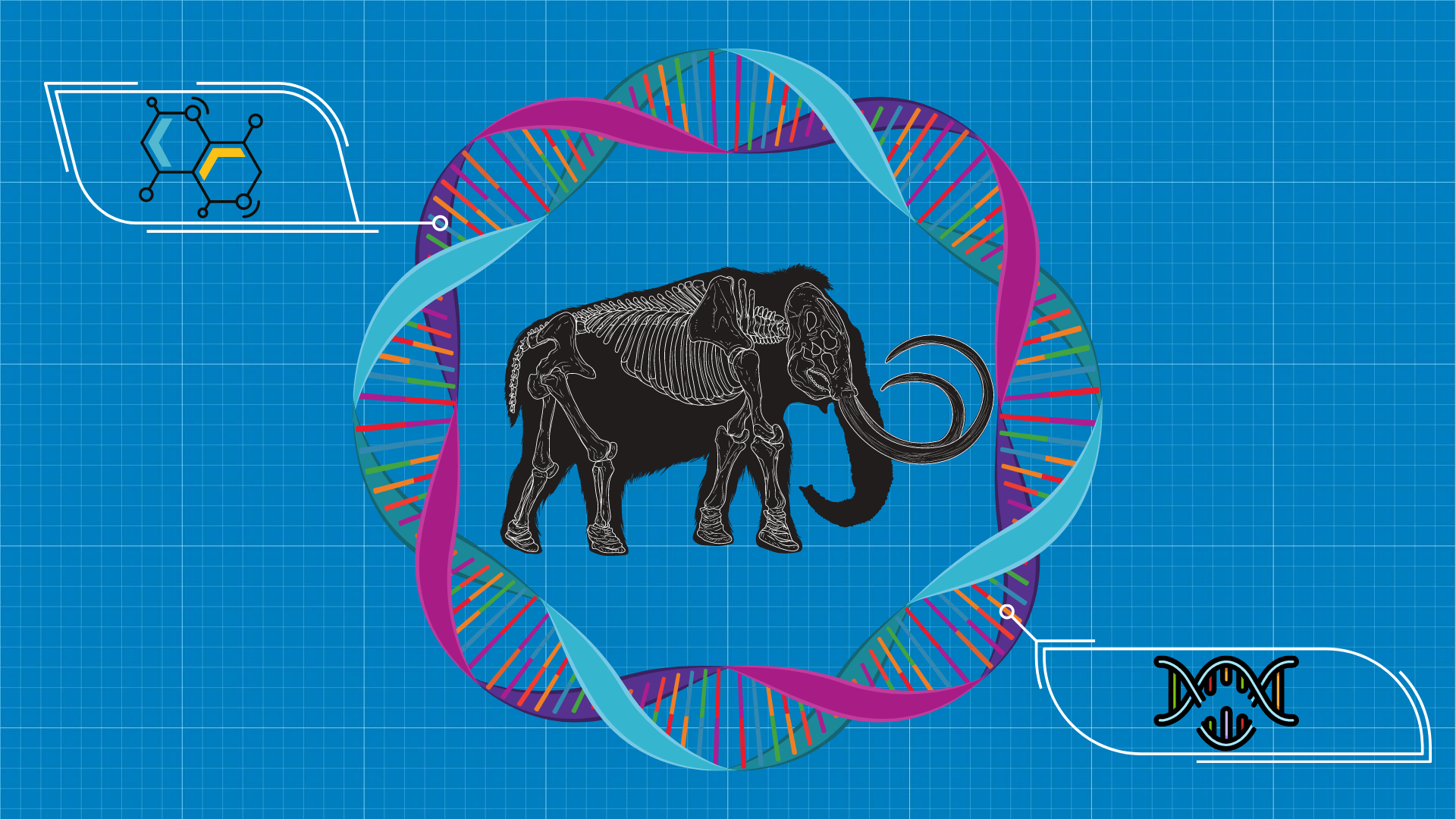 Scientists Are Trying to Revive Woolly Mammoths With CRISPR
